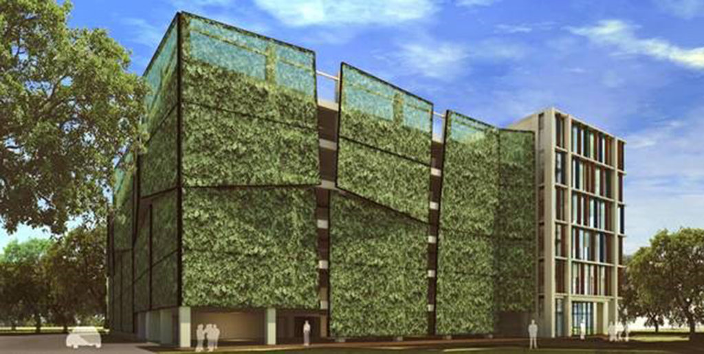 rice_1 — Structurflex